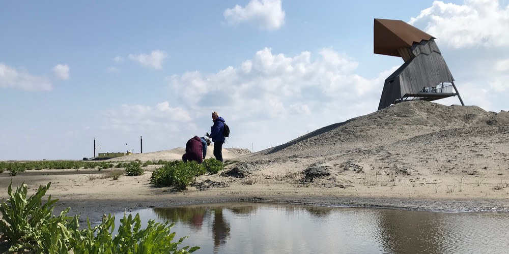 Marker Wadden Expeditie I Dagtocht met boot I Groepen en individueel ...