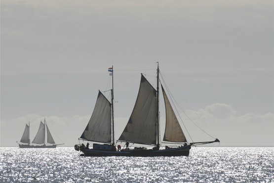 Bruine vloot I Grootste keuze uit traditionele zeilschepen | NAUPAR