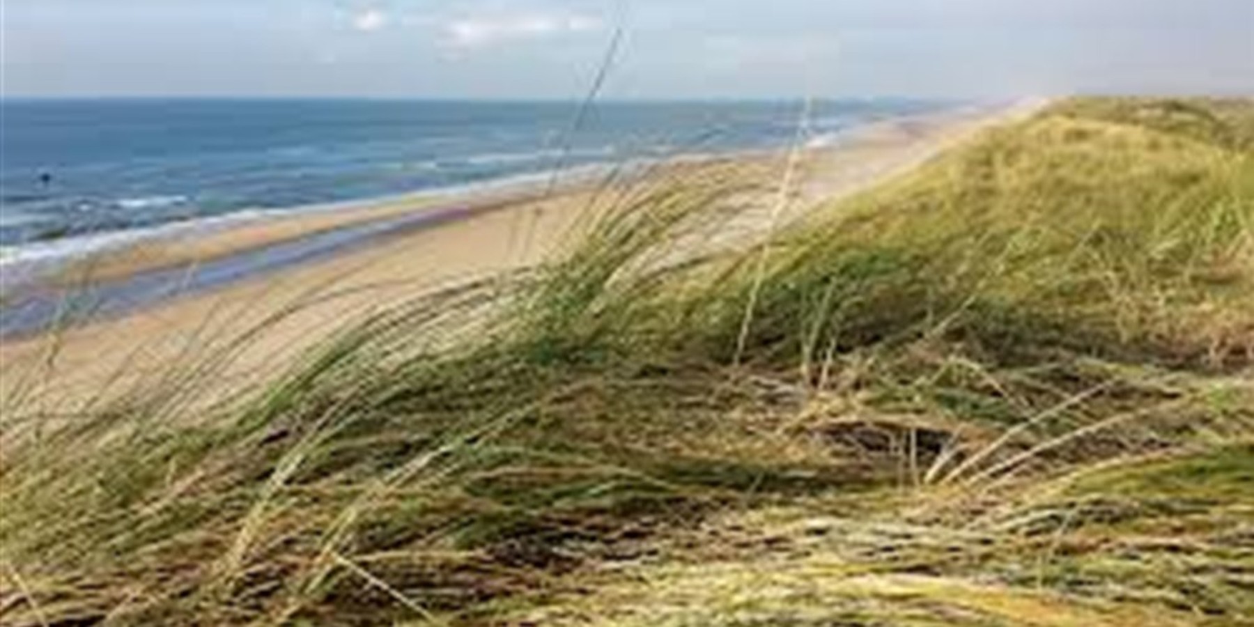 Vlieland beach | NAUPAR